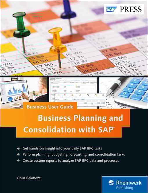 How To View Embedded Sap Bpc Models