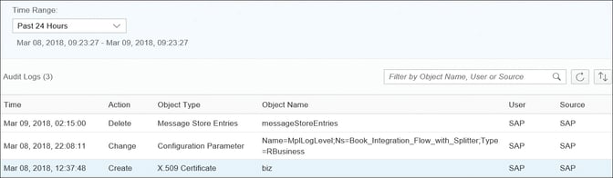 What Are Access Logs in SAP Integration Suite?