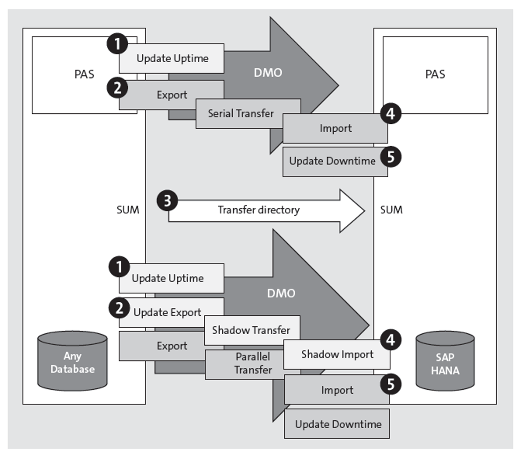 SAP S/4HANA Conversion: What Is the Software Update Manager?