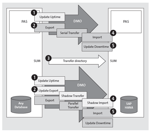 SAP S/4HANA Conversion: What Is the Software Update Manager?
