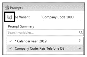Prompting with Variants in SAP Analysis for Microsoft Office