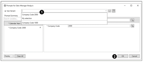 Prompting with Variants in SAP Analysis for Microsoft Office