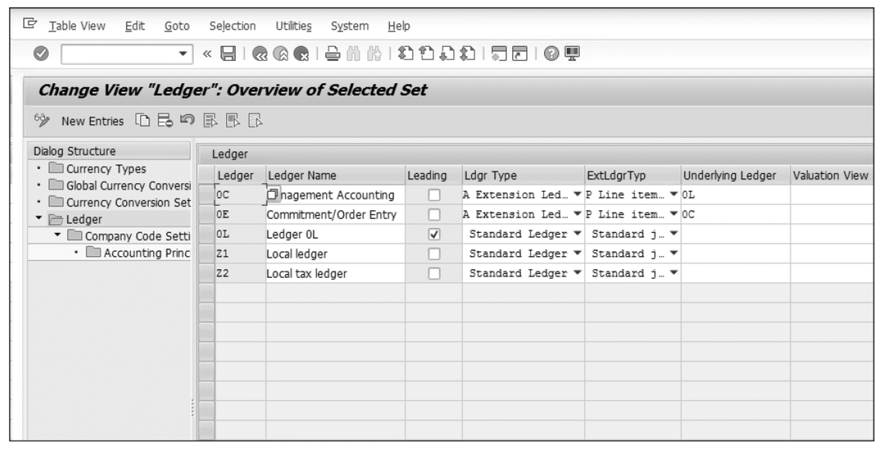 What Is an SAP S/4HANA Finance Ledger?