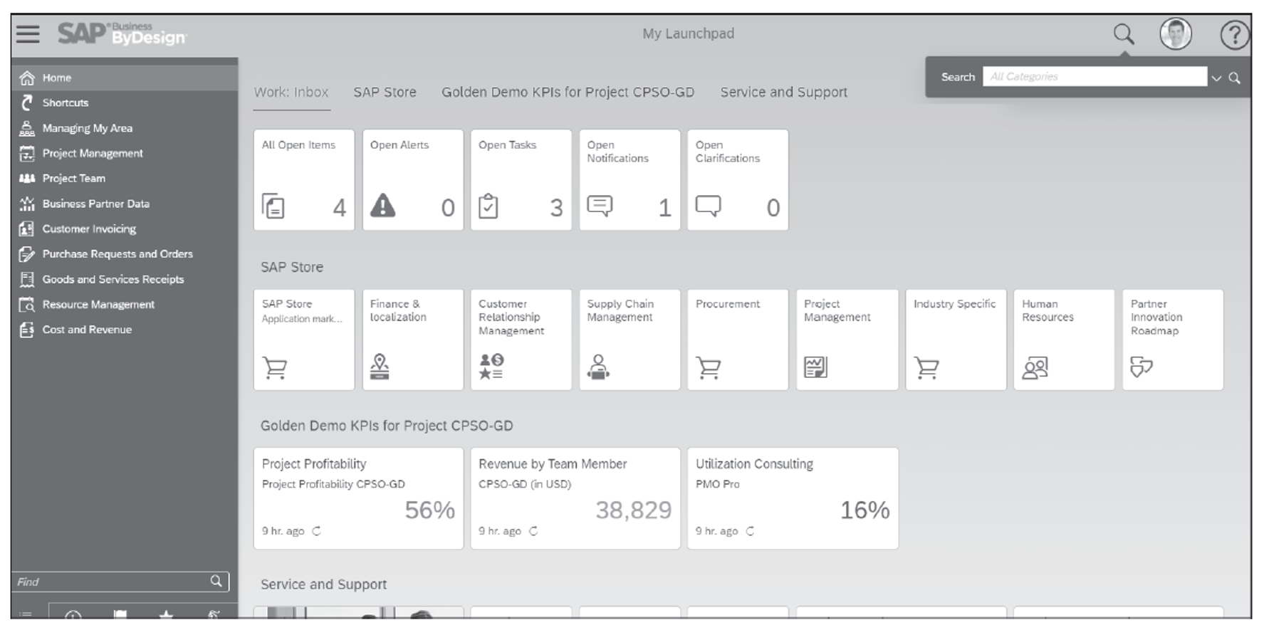 Getting Started in SAP Business ByDesign