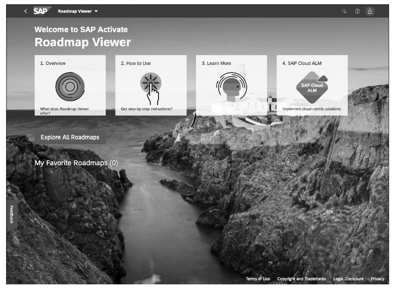 Using the Roadmap Viewer for SAP Activate Projects