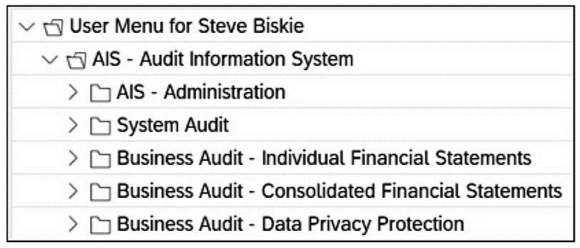 Exploring the SAP Audit Information System