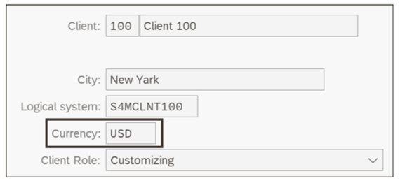 Defining Currency Types For The General Ledger In Sap S4hana 