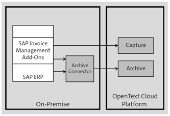 SAP Invoice Management Deployment Options