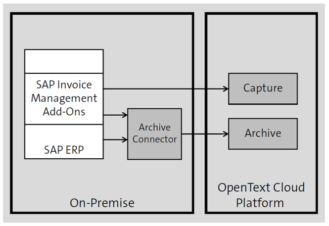 SAP Invoice Management Deployment Options