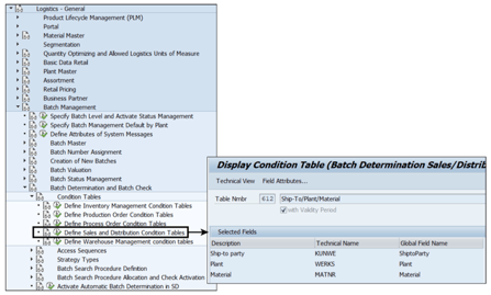 Batch Determination and Batch Check in SAP S/4HANA