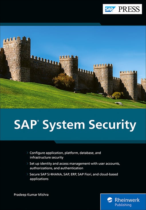 SAP Security: Authorization Risks to Know