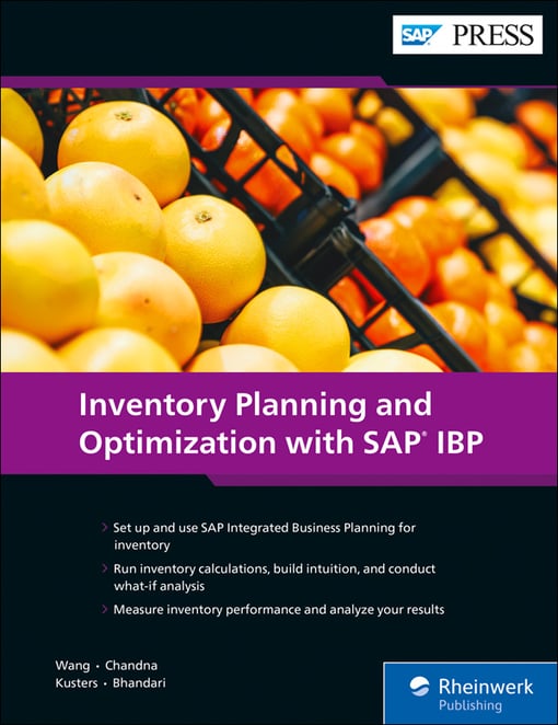 Types of Inventory in SAP IBP
