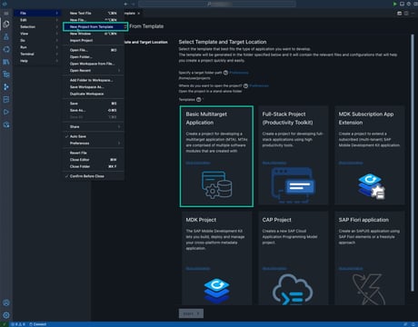 How to Integrate a Python App with SAP Business Application Studio for ...
