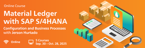 Activity Consumption Analysis in SAP S/4HANA