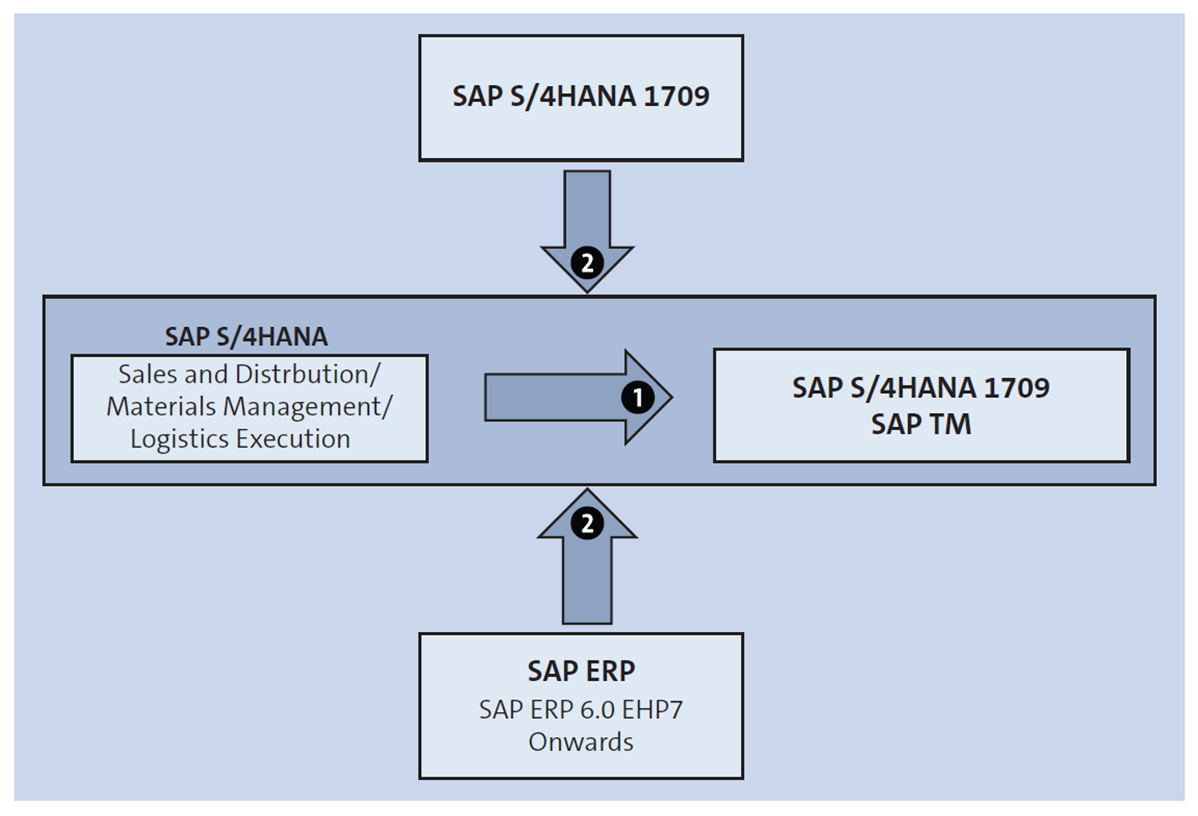 An Overview of Transportation Management Systems in SAP