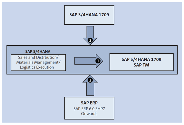 An Overview of Transportation Management Systems in SAP