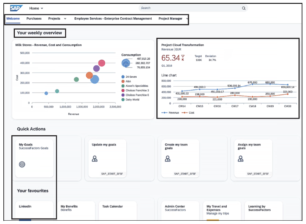 What Is SAP Work Zone, Standard Edition?