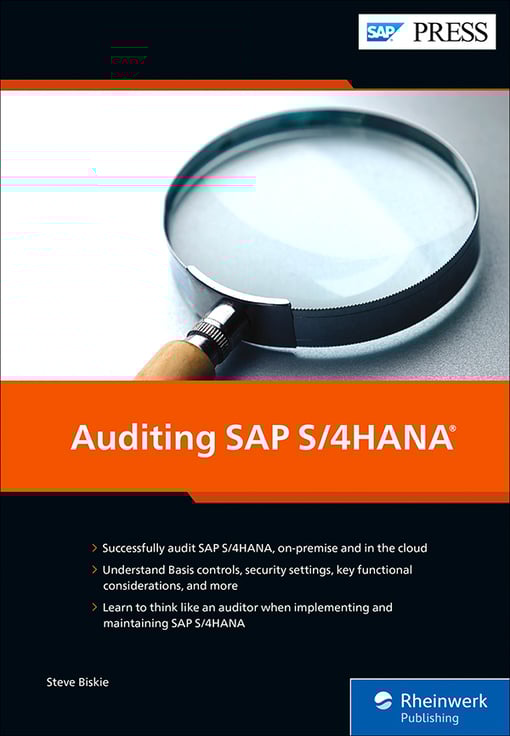 7 Common SAP S/4HANA Audit Problems (and Solutions)
