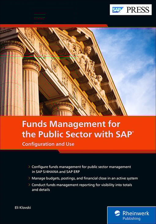 The Line-Item Budgeting Approach in Funds Management with SAP