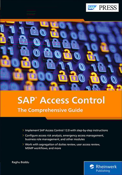 Implementing Sap Access Control