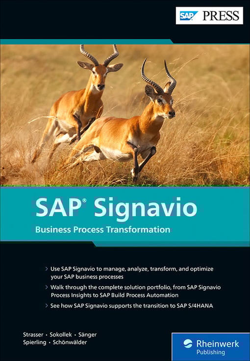 SAP Signavio Q&A: Your Questions Answered by the Experts