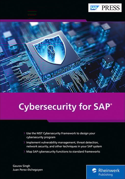 What Does RISE with SAP Mean for SAP Cybersecurity?
