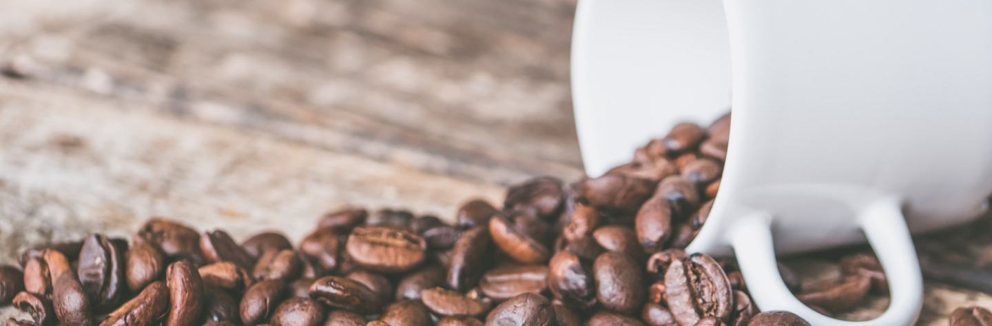 Budgeting in SAP PM by Using Work Breakdown Structure Elements