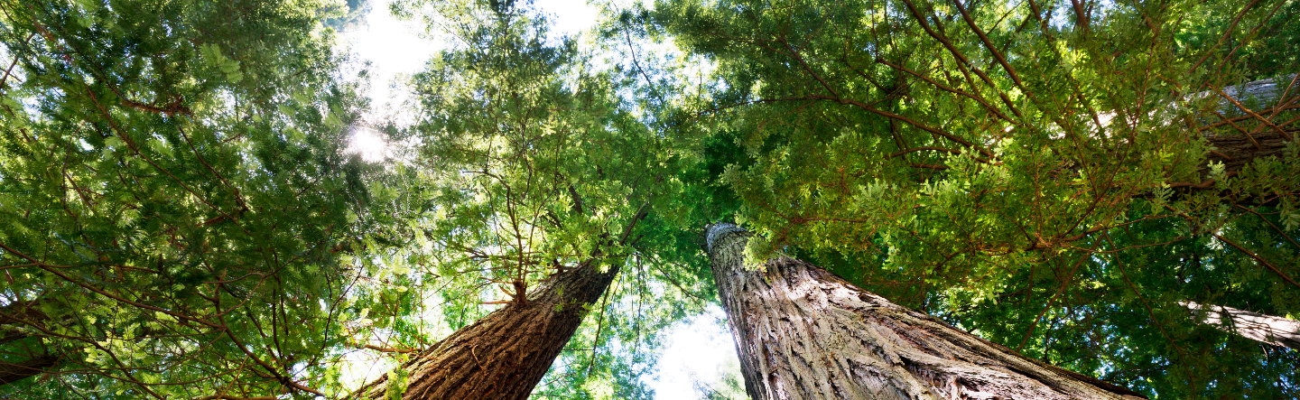 Extending Cash Management with SAP S/4HANA to One Exposure from Operations