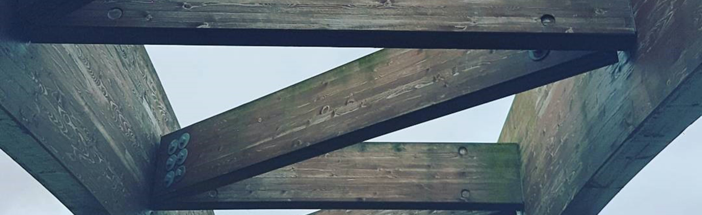 How to Configure Import Connections for Data Acquisition in SAP ...