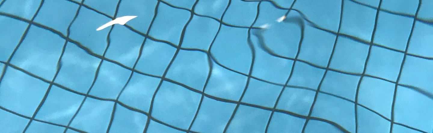 How to Connect SAP HANA to and Configure a Network on Microsoft Azure