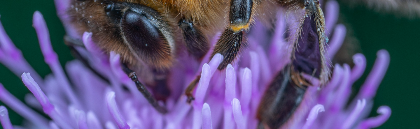 How to Extract Asset Accounting and Controlling Data from SAP ERP and ...