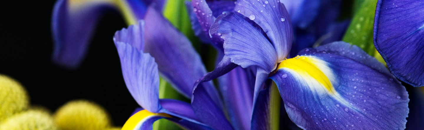 SAP Fiori Overview Pages: Features and Personalization