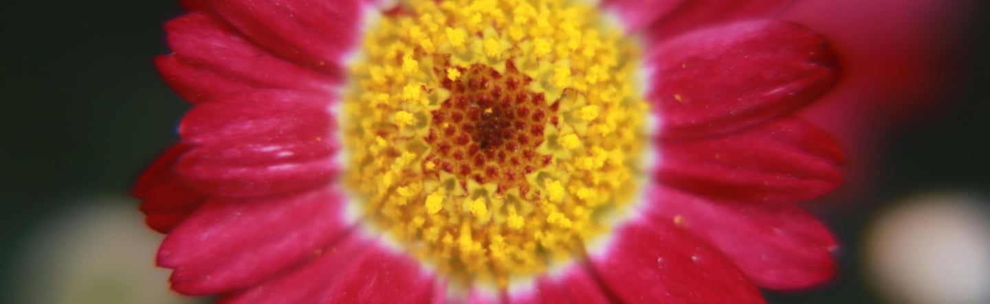 SAP S/4HANA Clean Core: Principles, Benefits, and Best Practices for a ...