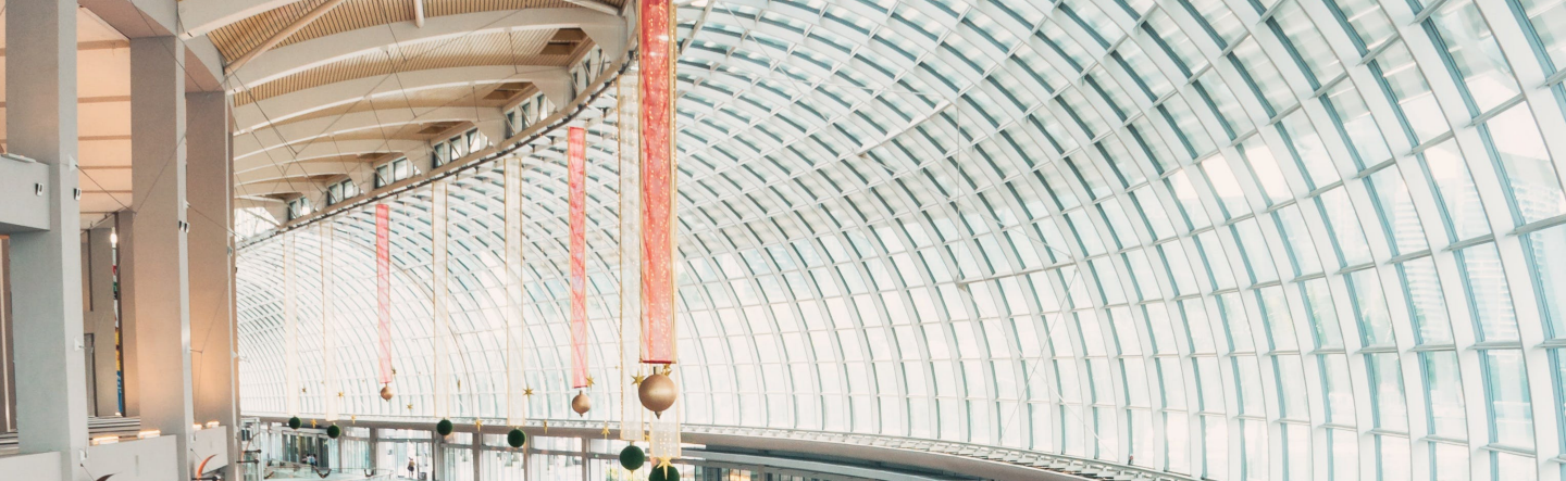 What Are the Different Versions of SAP S/4HANA?