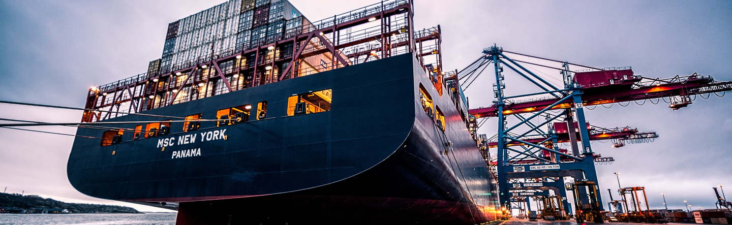 What Does It Take to Become an SAP Logistics Consultant?