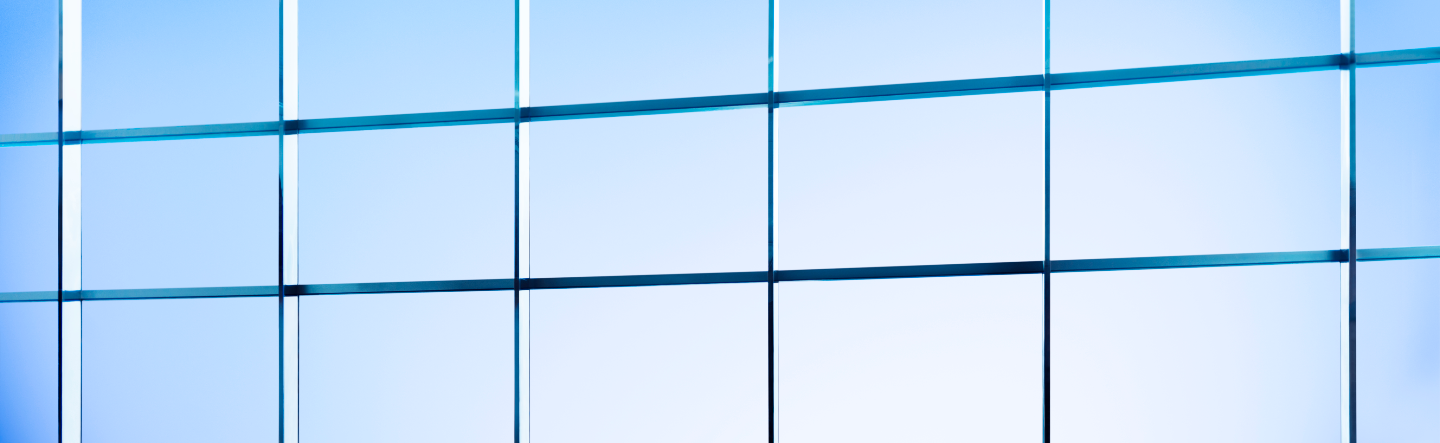 What Is ALV? An Overview of ABAP List Viewer/SAP List Viewer