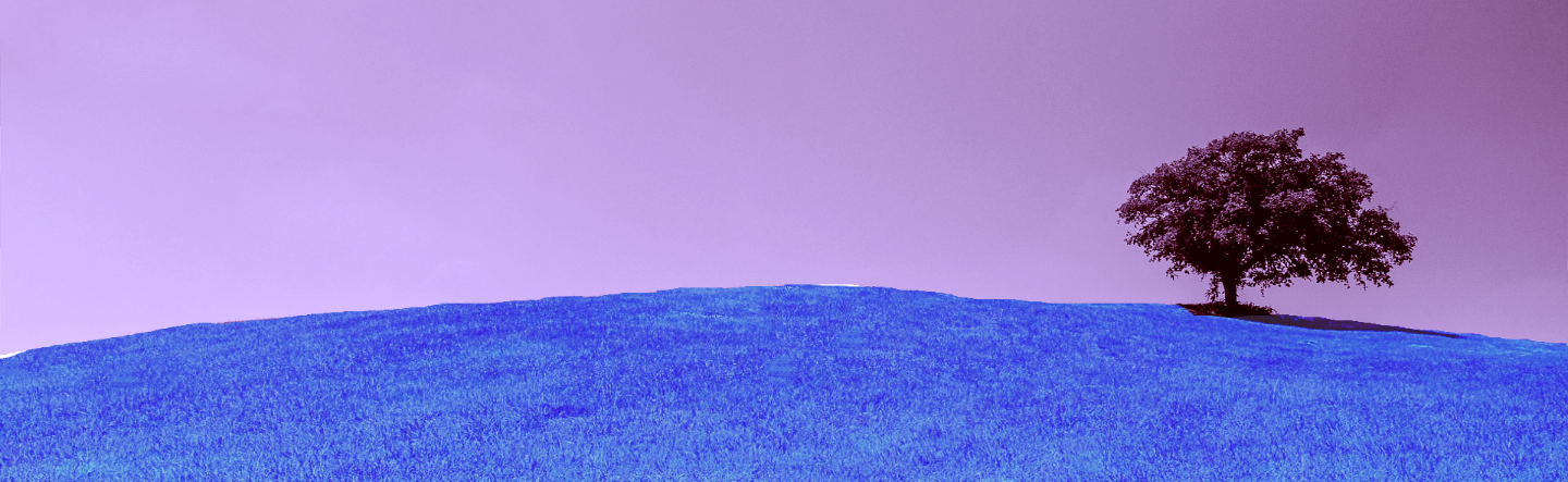 What Is Selective Data Transition for SAP S/4HANA?